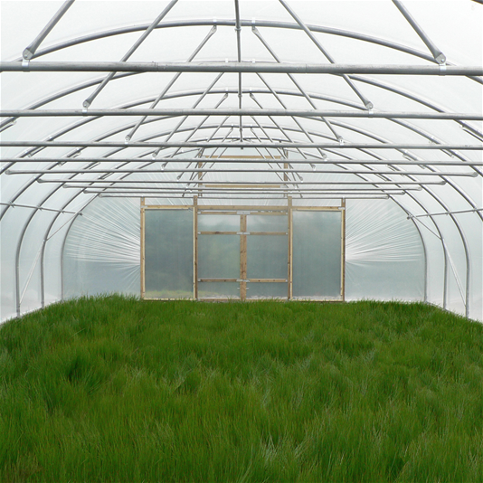 26ft Wide Polytunnels, 26ft Commercial Polytunnels From First Tunnels