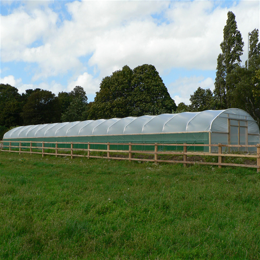 24ft Wide Polytunnels - 24ft Commercial Polytunnels From First Tunnels