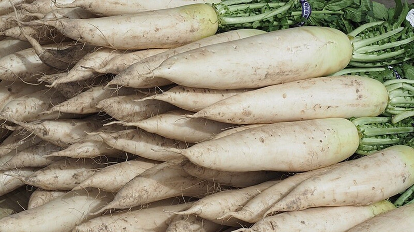 Daikon Radishes: Top Crop for Winter in Your Polytunnel