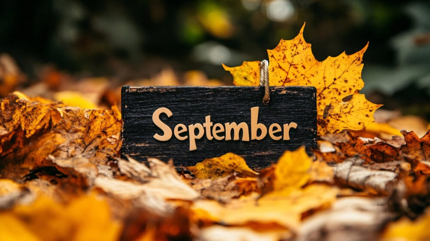 September Gardening Jobs: What to Plant in Autumn